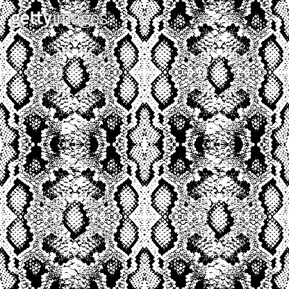 Snake skin scales texture. Seamless pattern black isolated on white ...