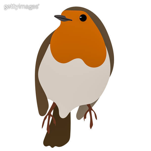 A graphic illustration of a robin for use as a or on a website 이미지 ...