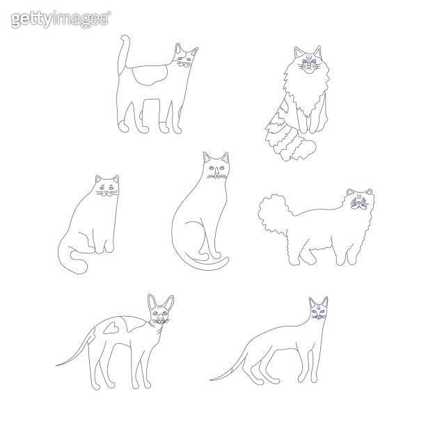 Set icons line style of cat breeds. 이미지 (1172285487) - 게티이미지뱅크