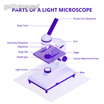 Microscope isometric illustration with light microscope parts ...