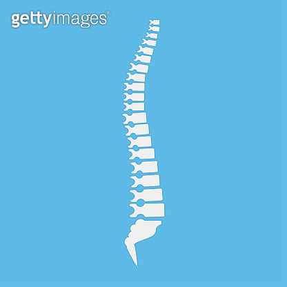 Backbone icon, human Spine template. Vector illustration (1154929056 ...