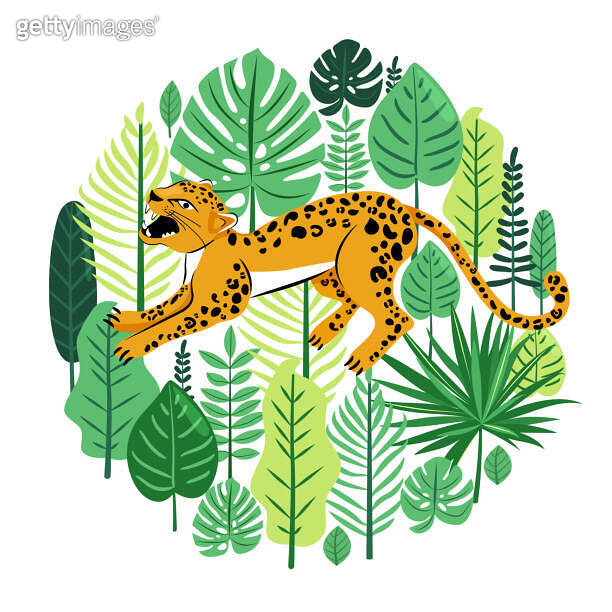 Tropical leaves and leopards around the circle. Wild concept ...