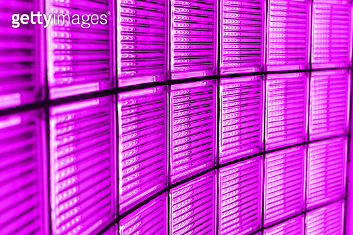 Wall of modern glass building of business center in neon pink color ...