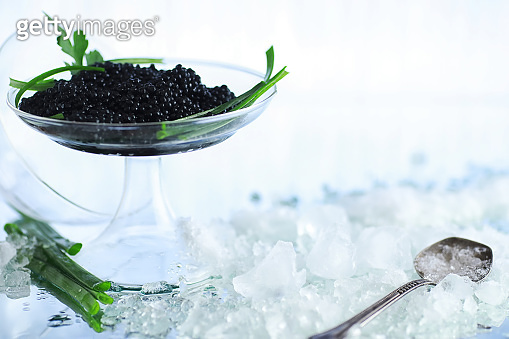 Fresh black fish roe. Beluga caviar served with ice. (1185465914) - 게티이미지뱅크