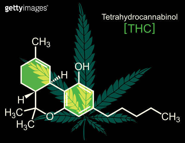THC Molecule on Black 이미지 (1163337054) - 게티이미지뱅크