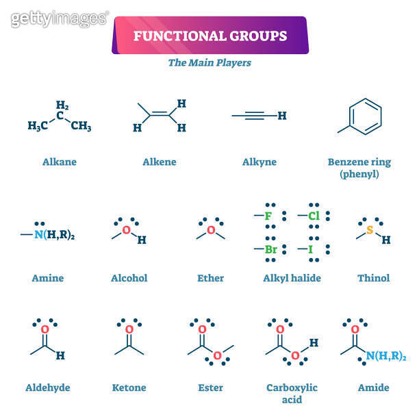 Functional groups vector illustration. Chemical reactions explanation ...