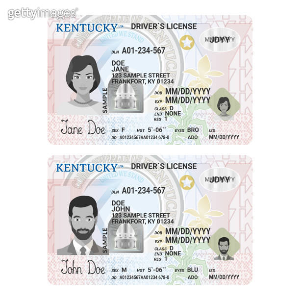 Vector template of toy driver license plastic card for USA Kentucky ...