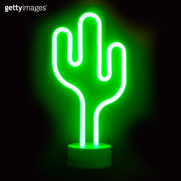 Neon green cactus LED lamp on black. 이미지 (1174687491) - 게티이미지뱅크
