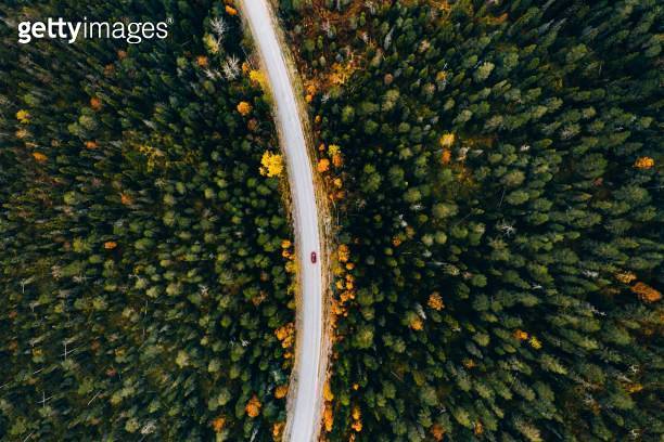 Aerial view of rural road in yellow and orange autumn forest in rural ...