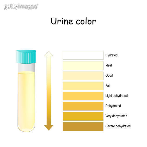 Urine Color. Chart for Assessing hydration and dehydration. Pee Color ...