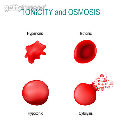 Tonicity is a measure of the osmotic pressure in red blood cells ...