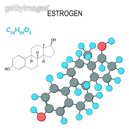 Estrogen. Chemical structural formula and model of molecule (1145073184 ...