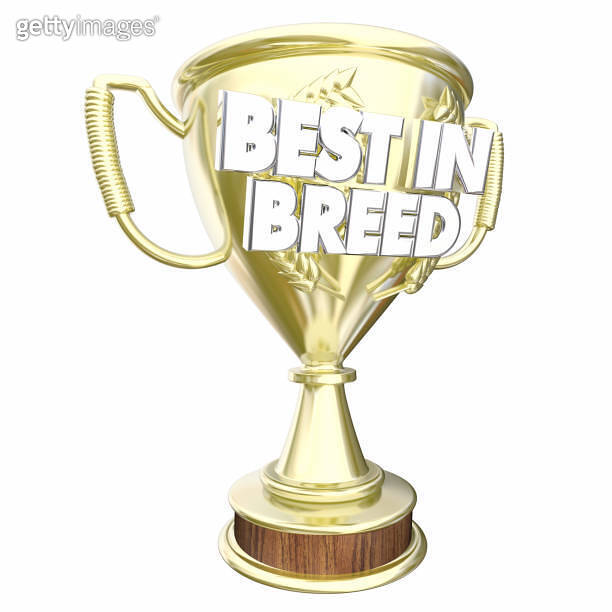 Best in Breed Trophy Award Class Prize Winner 3d Illustration 이미지 ...