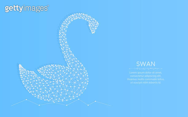 Swan low poly design, animal abstract geometric image, bird wireframe ...