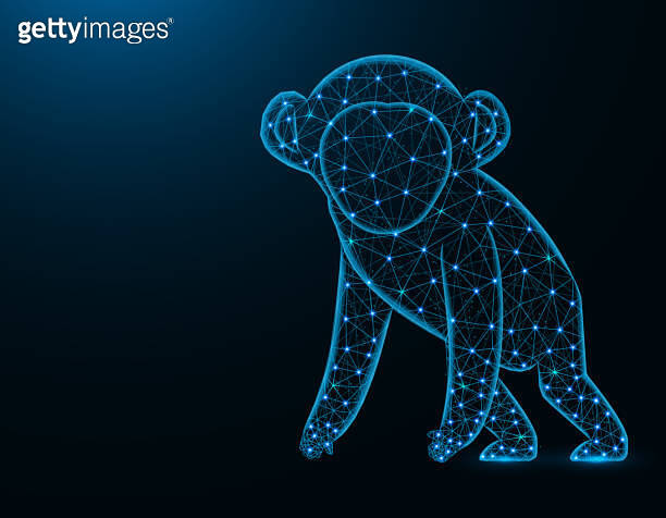 A monkey low poly model, African animal abstract graphics, primate ...