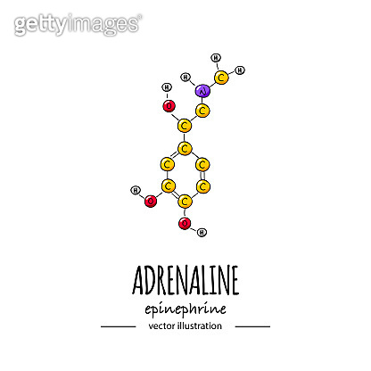 Hand drawn doodle Adrenaline chemical formula icon Vector illustration ...