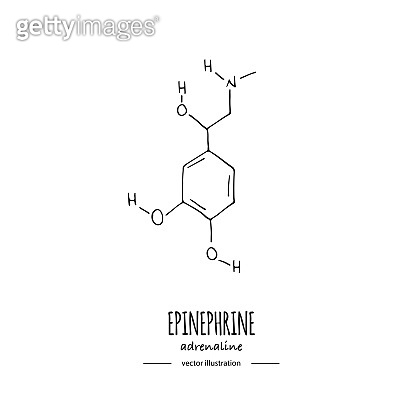 Hand drawn doodle Adrenaline chemical formula icon Vector illustration ...