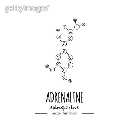 Hand drawn doodle Adrenaline chemical formula icon Vector illustration ...