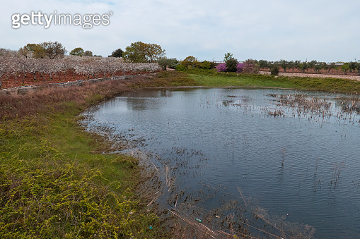 natural rainwater collection lake in the territory of Puglia. 이미지 ...