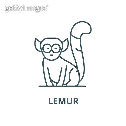 Lemur vector line icon, linear concept, outline sign, symbol ...