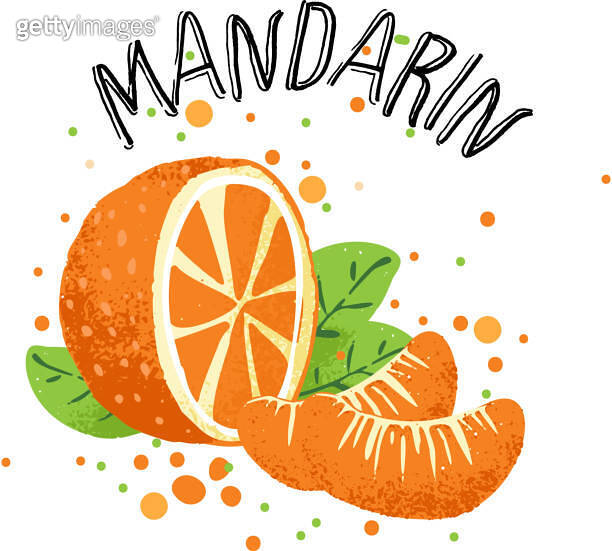 Vector hand draw orange mandarin illustration. Slice of orange mandarin ...