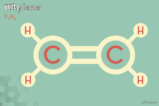 Infographic of the molecule of Ethylene (1183970646) - 게티이미지뱅크