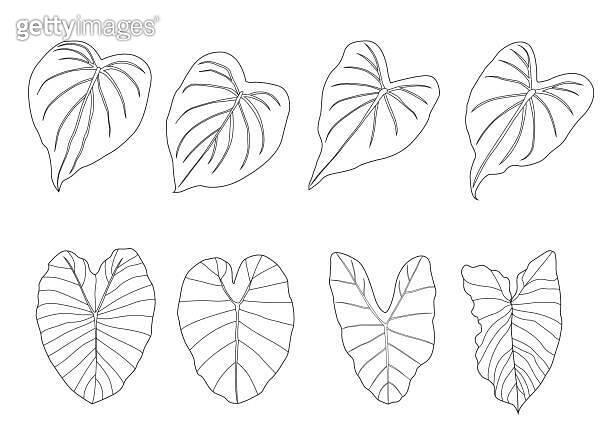 Leaves line single leaf and leaf pattern black Bring to color decorate ...