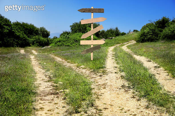 countryside forked dirt road with wooden directional signs on green ...