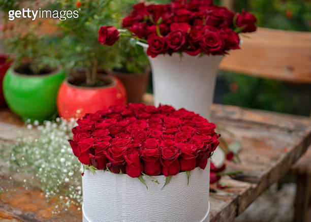 Dozens of beautiful red roses in a flower shop 이미지 (1189353625) - 게티이미지뱅크