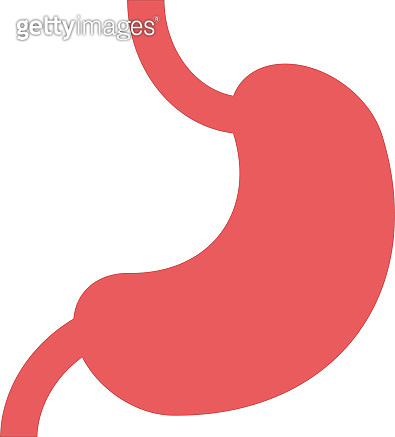 Simple stomach vector flat design (1159608687) - 게티이미지뱅크