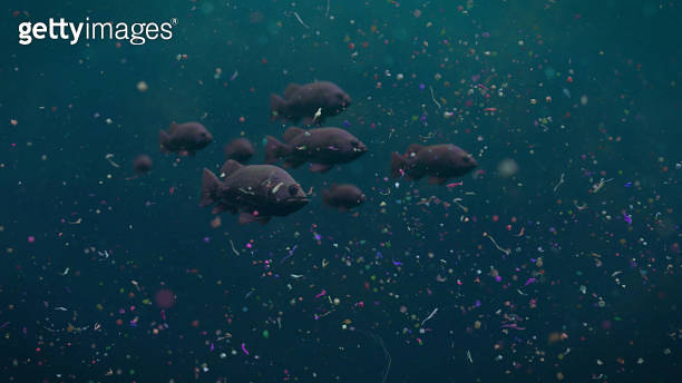 fish swarm swimming through plastic pollution, micro plastic particles ...