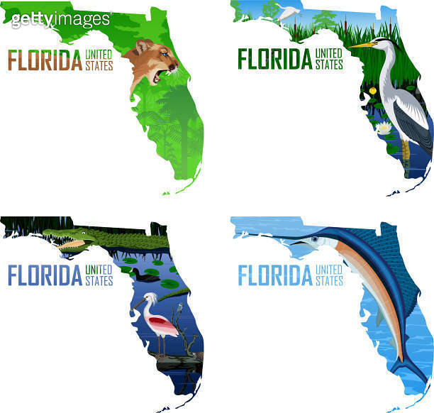 Set of vector Florida - American state map with swordfish Atlantic ...