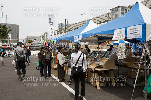 New Toyosu Fish Market in Tokyo, Japan (1156955681) - 게티이미지뱅크