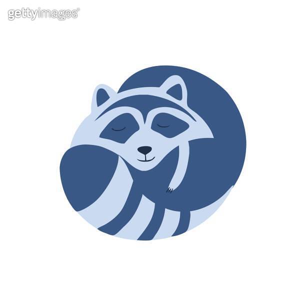 Decorative vector sleeping raccoon lying isolated on white background ...