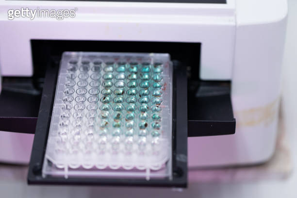 Study of fish blood composition with 96 wells microplate for laboratory ...