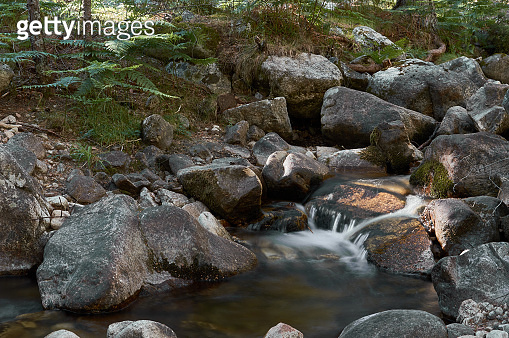 The Navacerrada River descends through the Valley of the Barranca in ...
