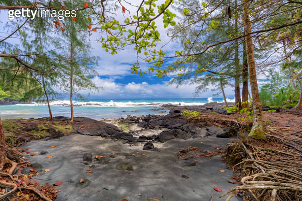 Shipman Haena Beach Puna trail Big Island Hawaii (1138070069) - 게티이미지뱅크