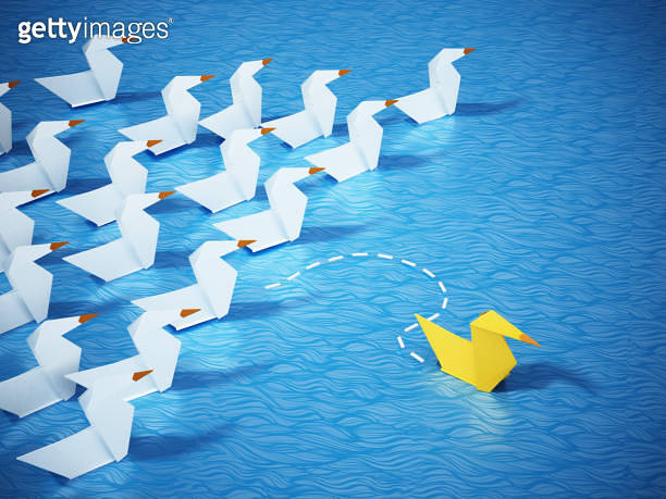 Yellow paper duck leaving the pack with white ducks. Conceptual image ...