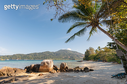 Coconut tree with rocks on the beach in tropical sea (1135259526) - 게티이미지뱅크
