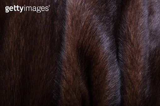 Natural mink fur brown, short pile. Background, texture 이미지 (1156973573 ...