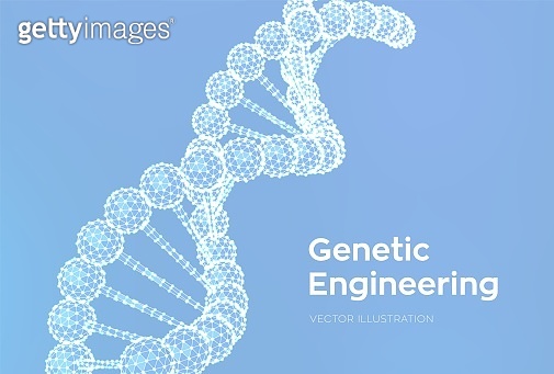DNA sequence. Wireframe DNA molecules structure mesh. DNA code editable ...