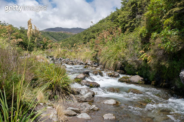 Fast flowing mountain stream rapids in the national park 이미지 ...