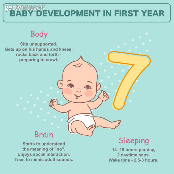Little newborn baby of 7 month. Development infographics 이미지 ...