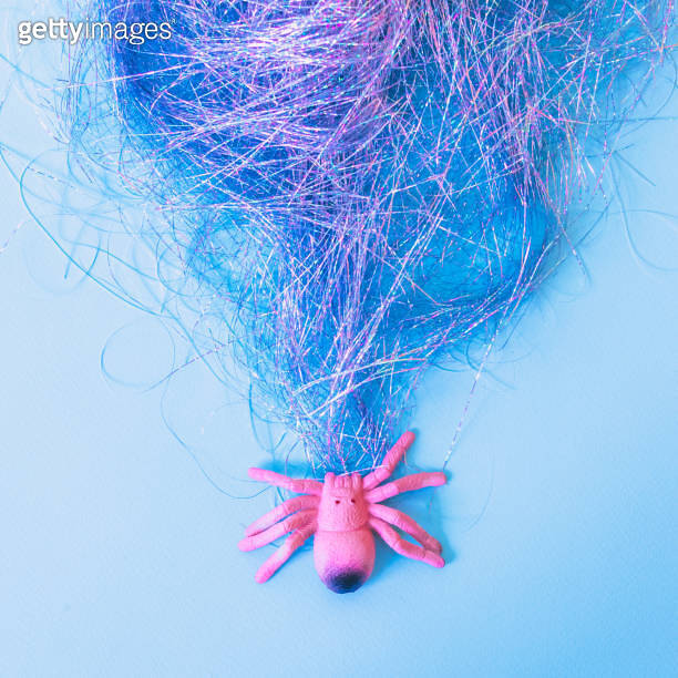 A scary pink painted spider sits on blue background and spins a web ...