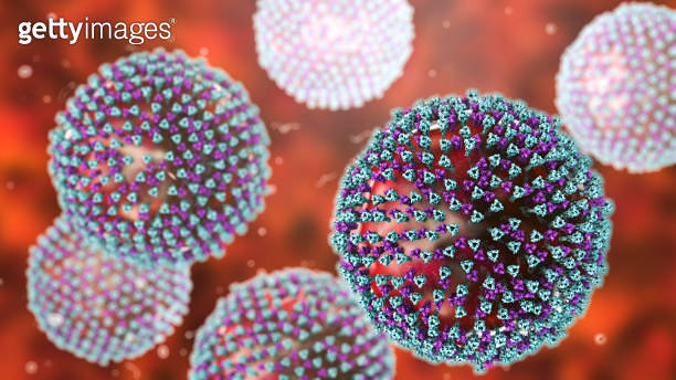 Measles viruses, illustration showing structure of measles virus with ...