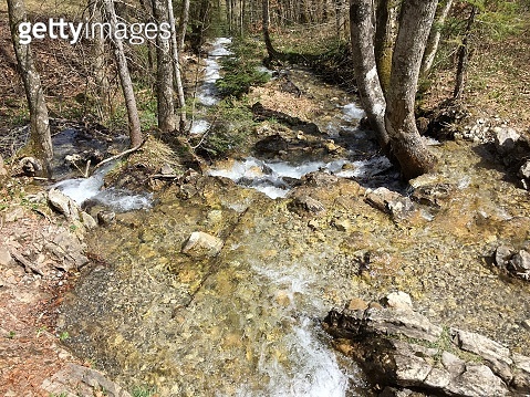 Wild mountain stream carrying melting water in early spring 이미지 ...