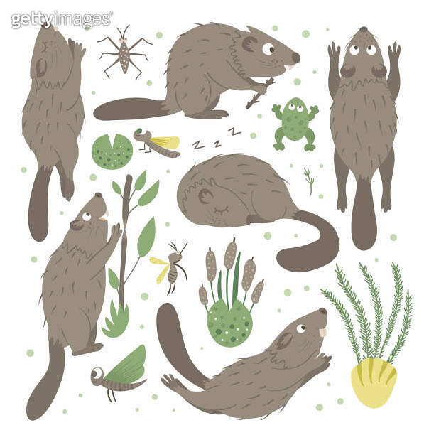 Vector set of cartoon style flat funny beaver in different poses with ...