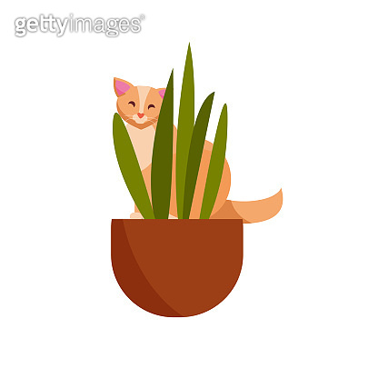 Guilty cat flat vector color character. Cute naughty playful cat eat ...