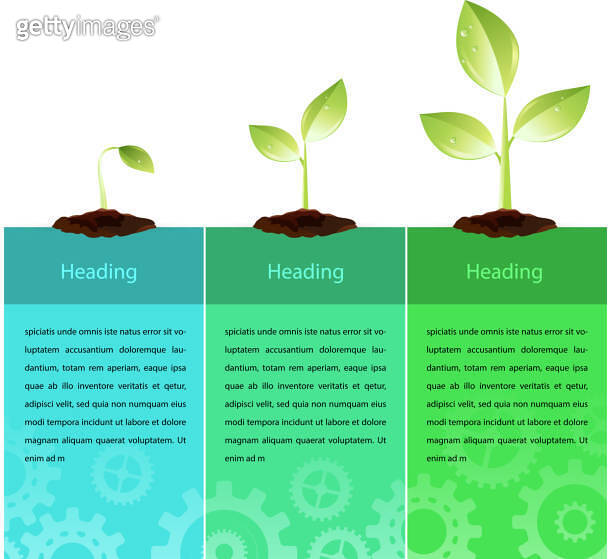 growing plant infographics 이미지 (1150983118) - 게티이미지뱅크