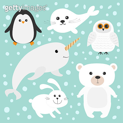 Arctic polar animal set. White bear, owl, penguin, Seal pup baby harp ...